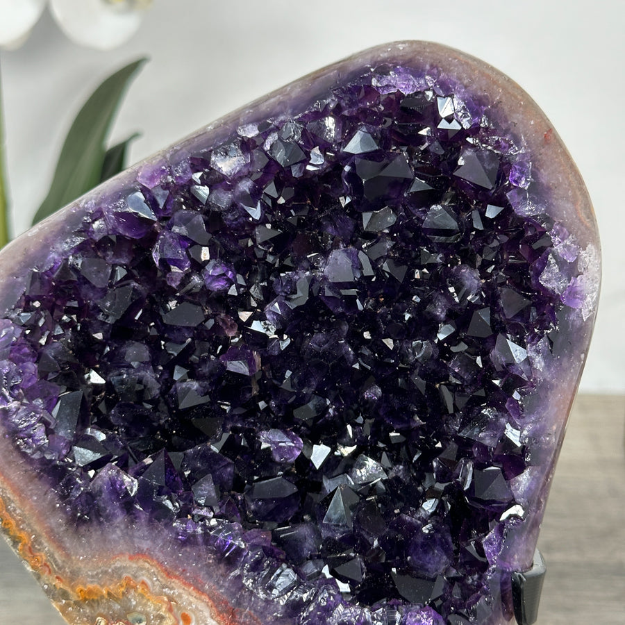 Display Amethyst - Home Decore and Collection – Southern Minerals