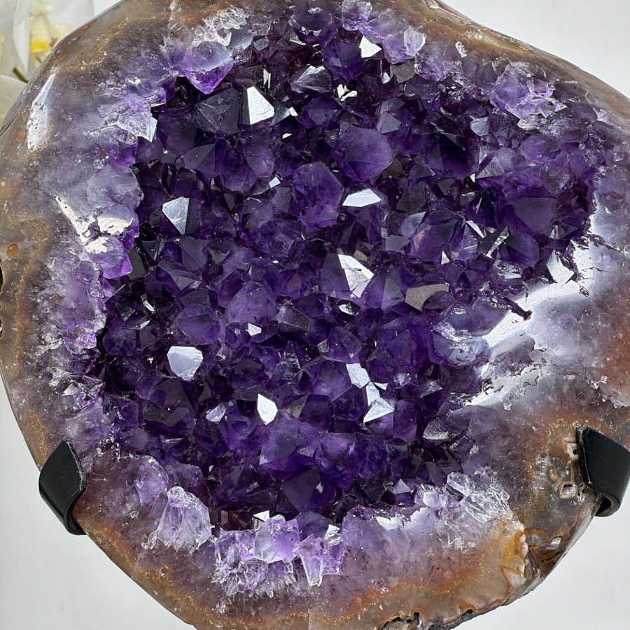 Display Amethyst - Home Decore and Collection – Southern Minerals