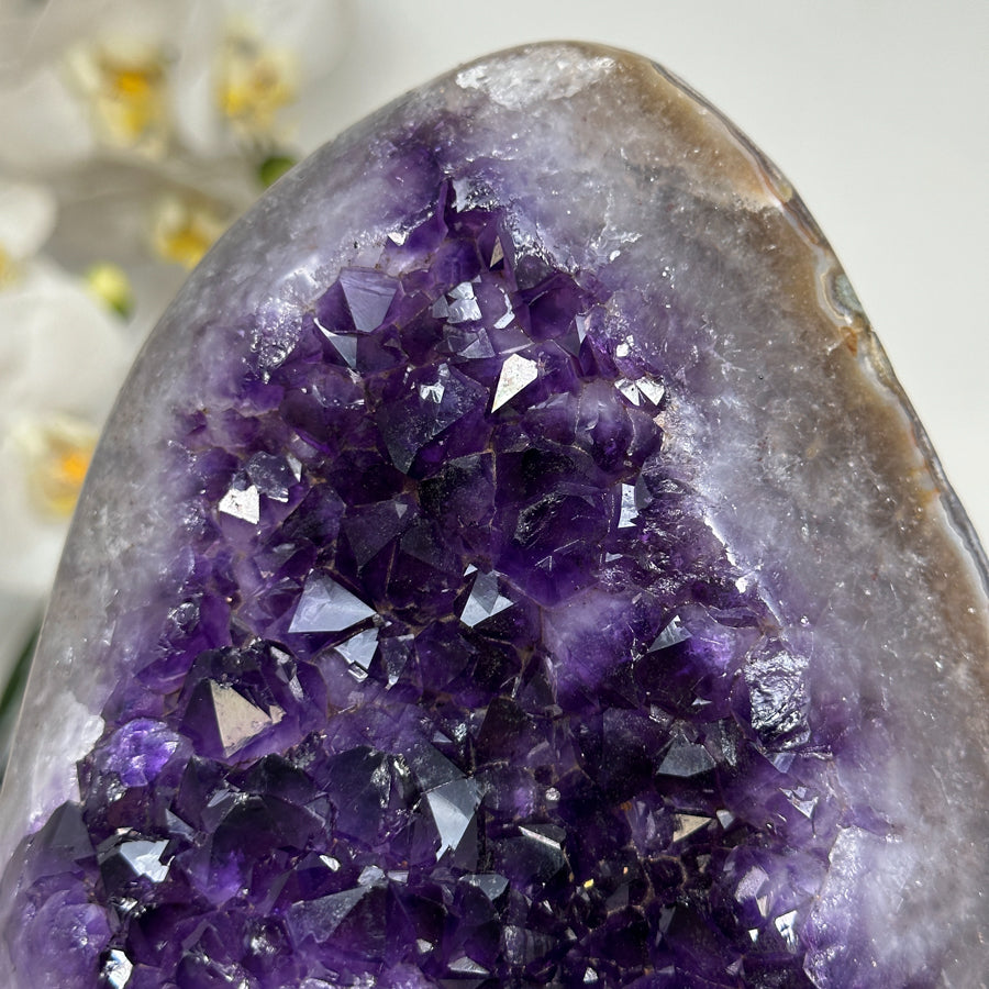 Display Amethyst - Home Decore and Collection – Southern Minerals