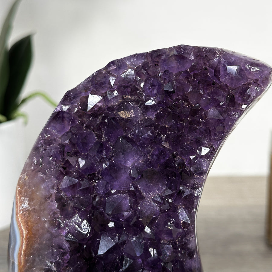 Display Amethyst - Home Decore and Collection – Southern Minerals