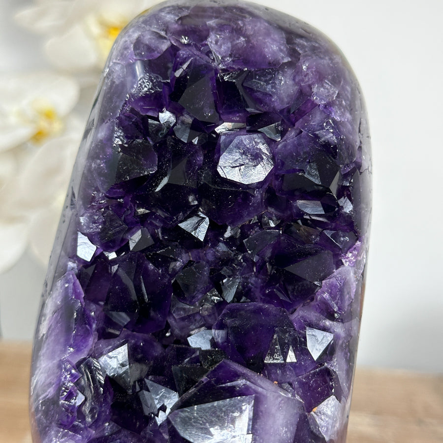 Display Amethyst - Home Decore and Collection – Southern Minerals