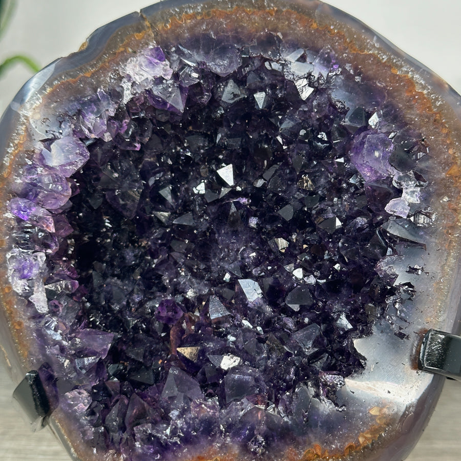 Display Amethyst - Home Decore and Collection – Southern Minerals